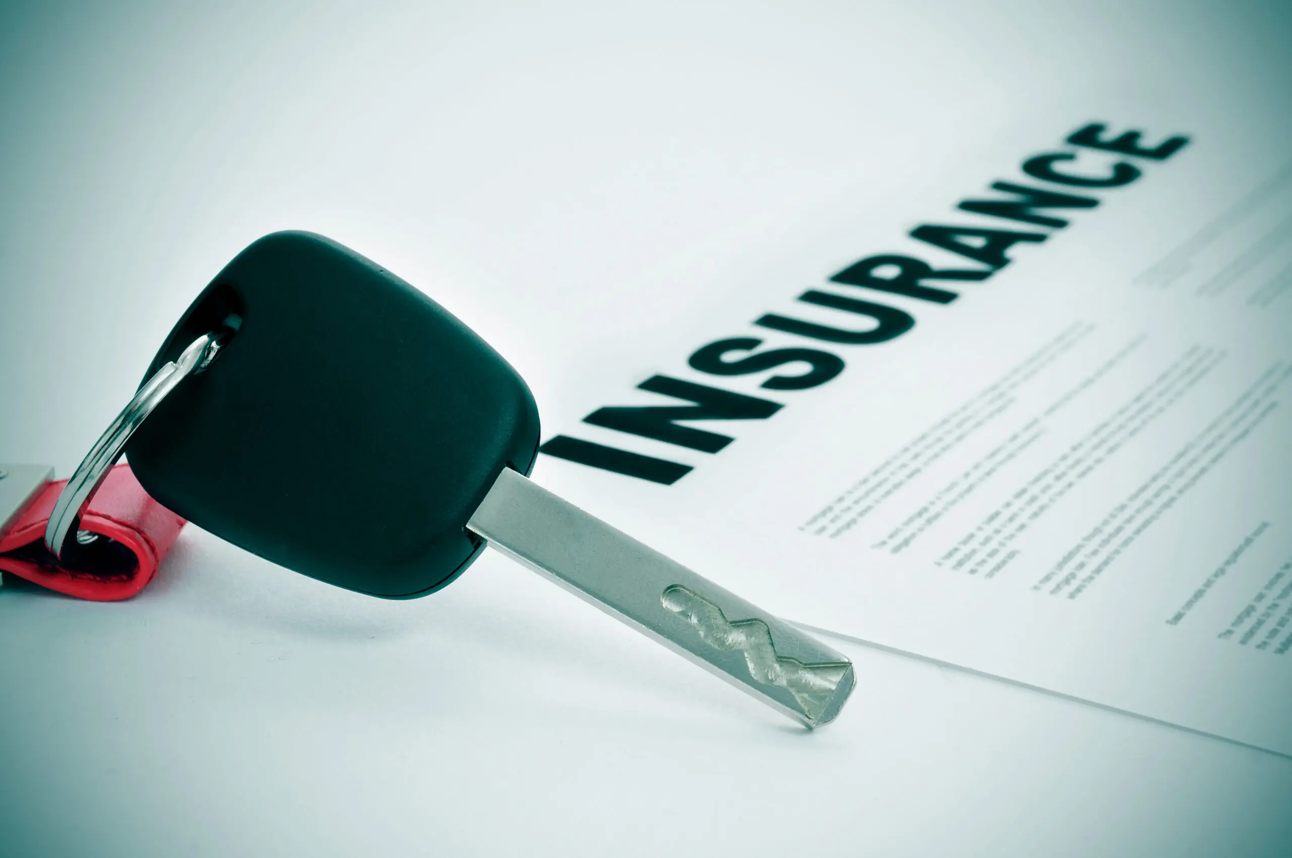 Car insurance renewal guide | Westland Insurance