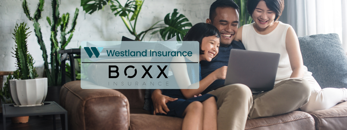 Cyber security insurance | Westland Insurance